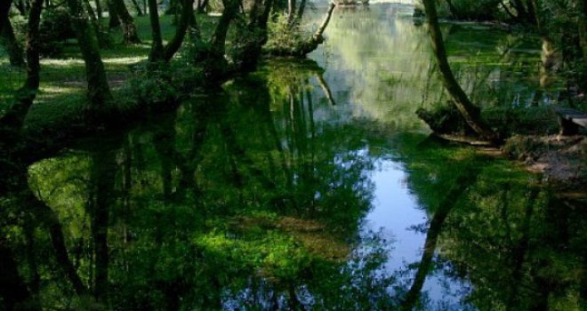 Prljava voda ušla u sistem Bačeva,građani strahuju od trovanja! | DEPO ...